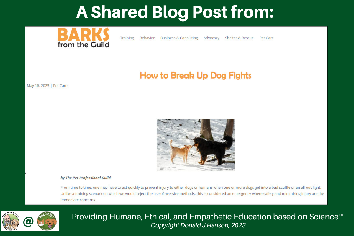 Shared Blog Post – How to Break Up Dog Fights - Force Free Pets