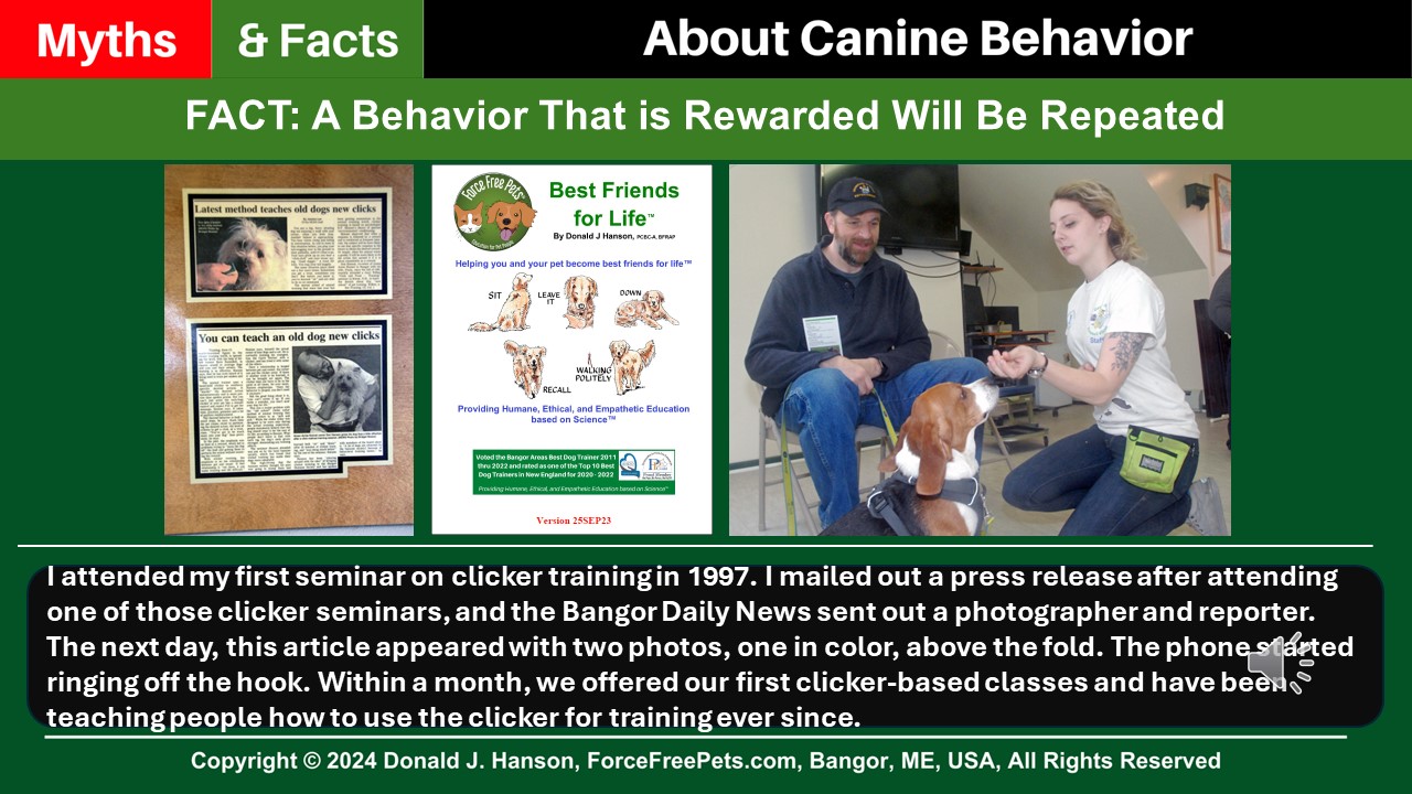 How What I’ve Learned in 33 Years Has Changed My Approach to Canine ...