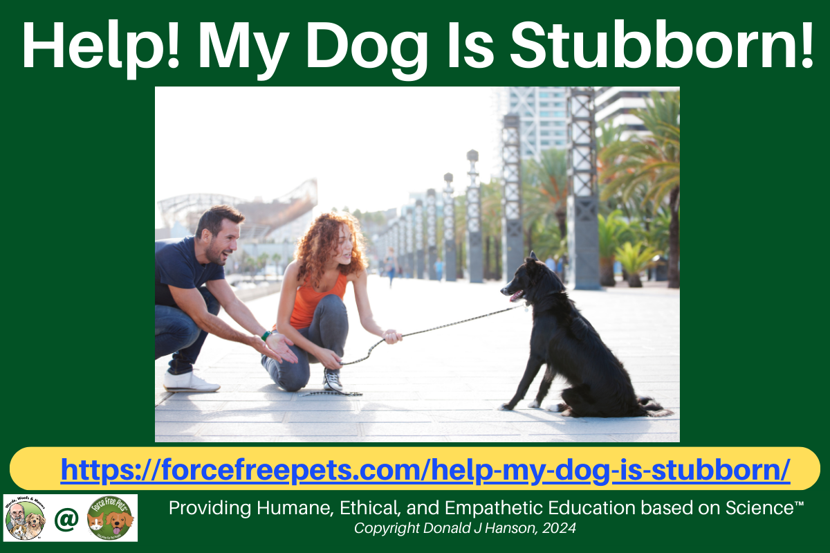 Help! My Dog Is Stubborn! - Force Free Pets