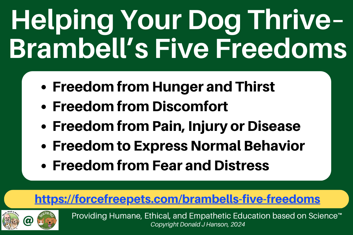 Helping Your Dog Thrive–Brambell’s Five Freedoms - Force Free Pets