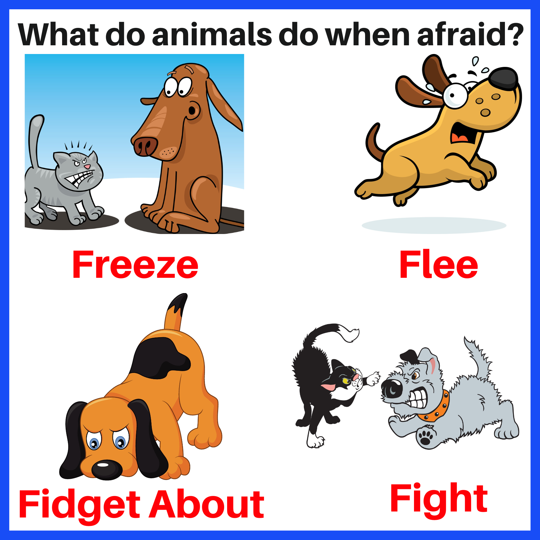 Helping Your Dog Thrive–Brambell’s Five Freedoms - Force Free Pets