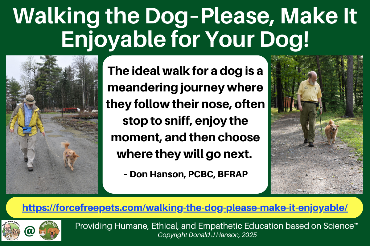 Walking the Dog–Please Make It Enjoyable for Your Dog! - Force Free Pets