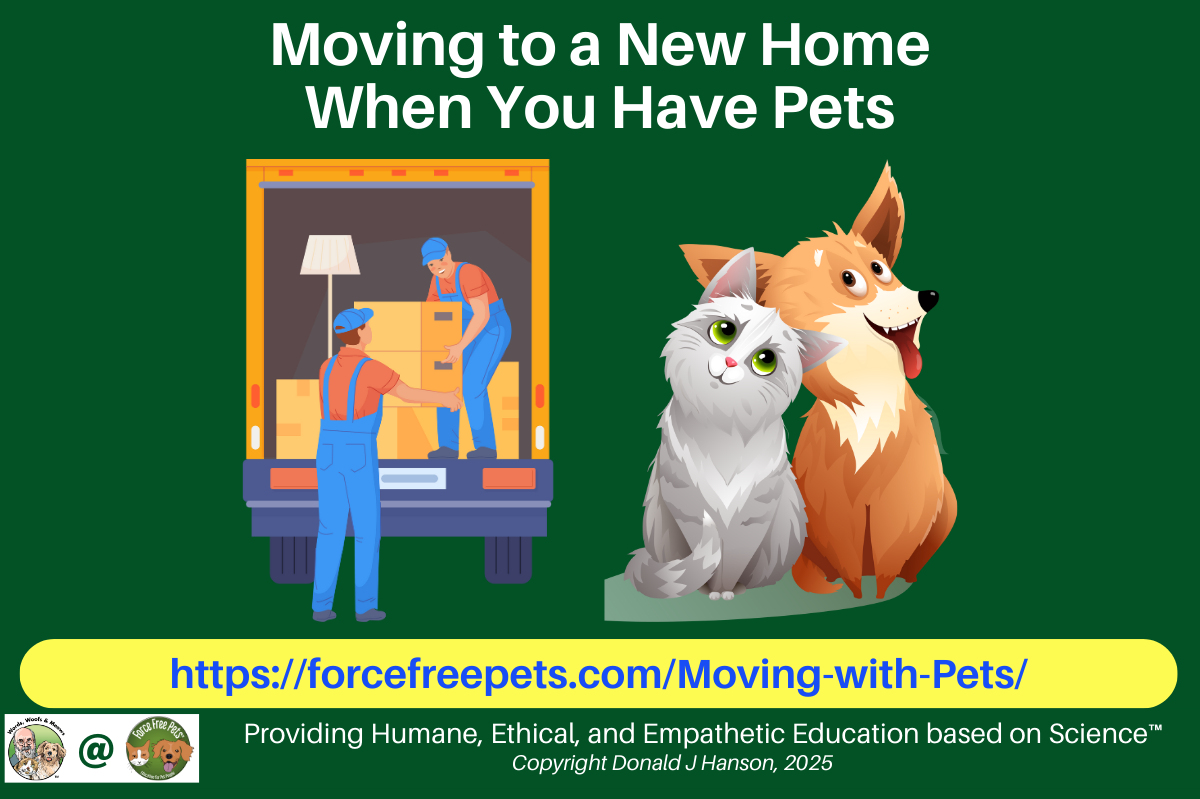 Moving to a New Home When You Have Pets - Force Free Pets