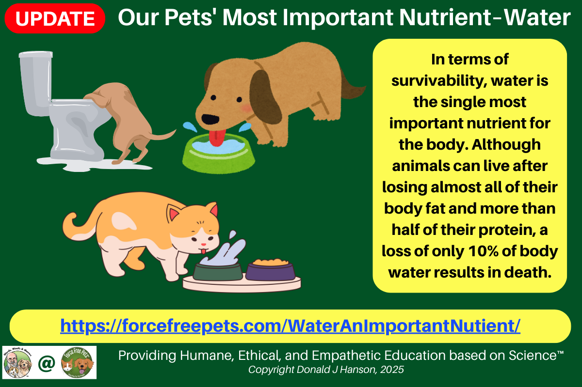 Our Pets' Most Important Nutrient–Water - Force Free Pets