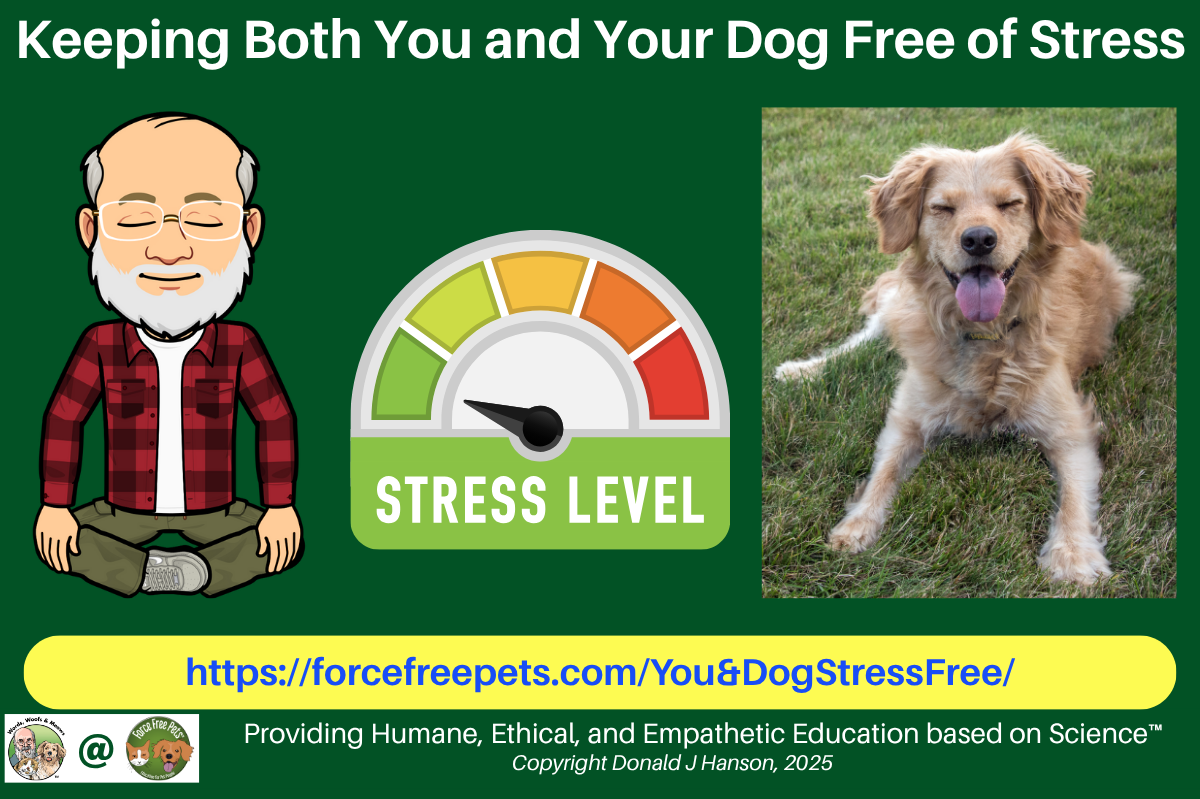 Keeping Both You and Your Dog Free of Stress - Force Free Pets
