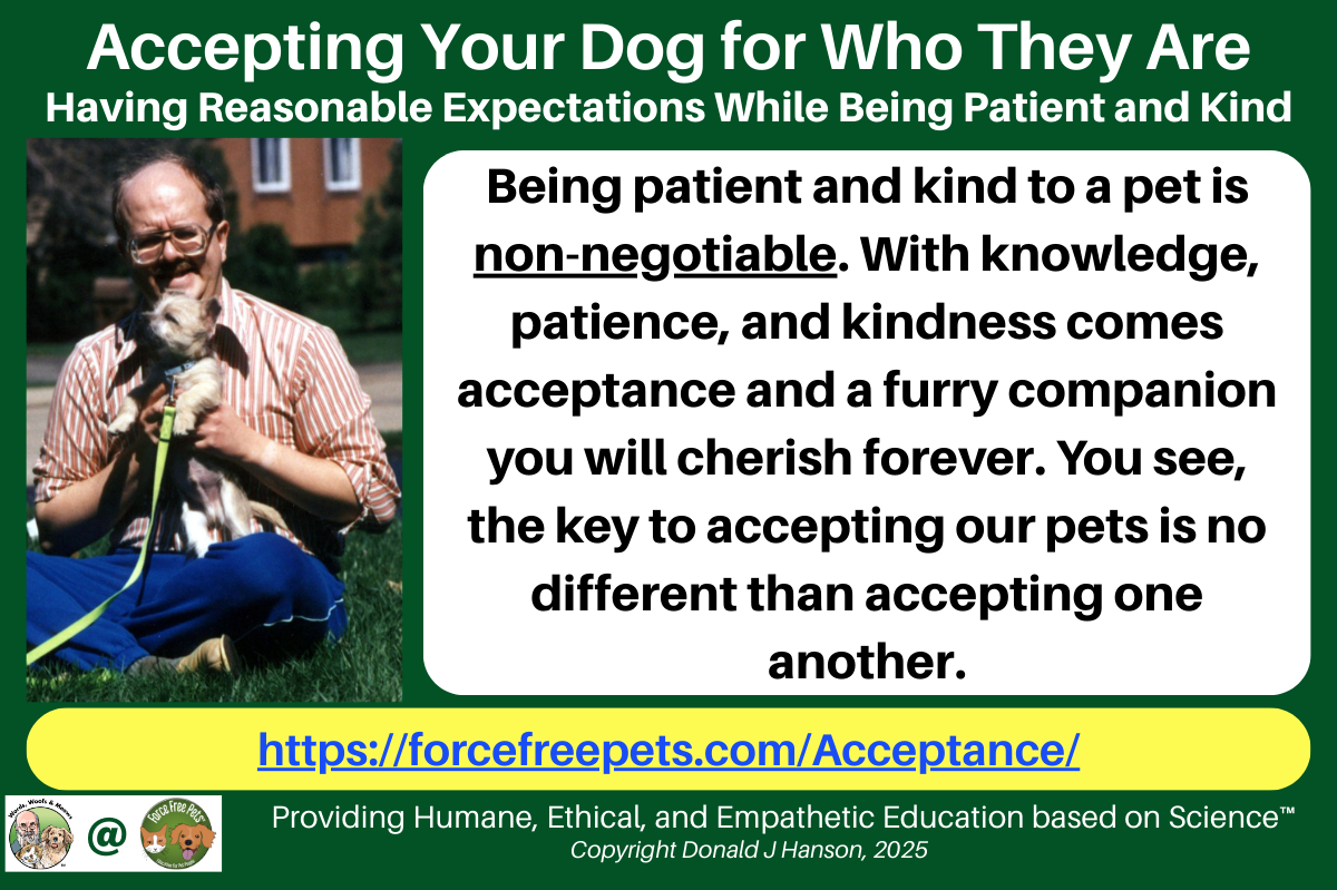 Accepting Your Dog for Who They Are - Force Free Pets