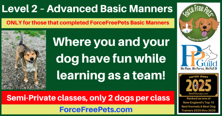 Level 2 Advanced Basic Registration - Force Free Pets